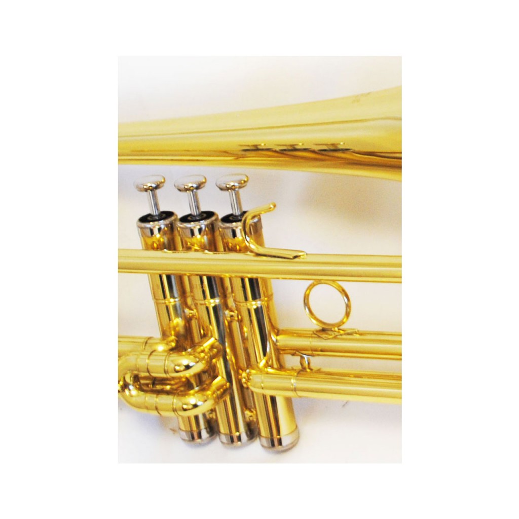 American Heritage Piston Valve F Trombone - Schiller Instruments - Band ...