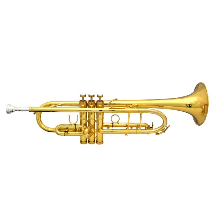 Elite Frankfurt Custom Trumpet - Gold Plated - Schiller Instruments ...