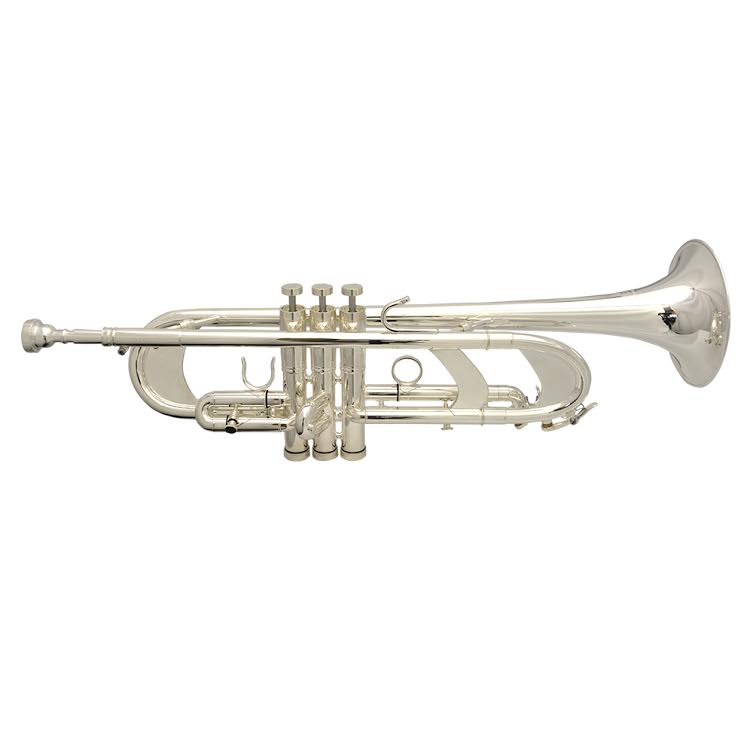 Elite Frankfurt Custom Silver Plated Flash Trumpet - Schiller ...