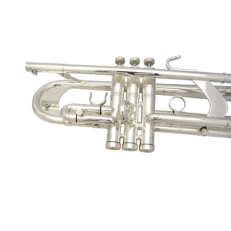 Elite Frankfurt Custom Silver Plated Flash Trumpet - Schiller ...