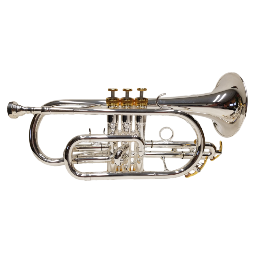 Cornets - Schiller Instruments - Band & Orchestral Instruments
