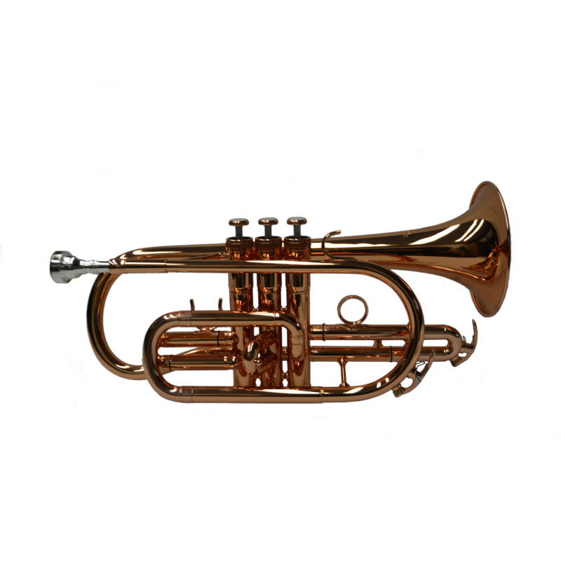 Shepherds Crook Pro Elite Copper - Schiller Instruments - Band ...