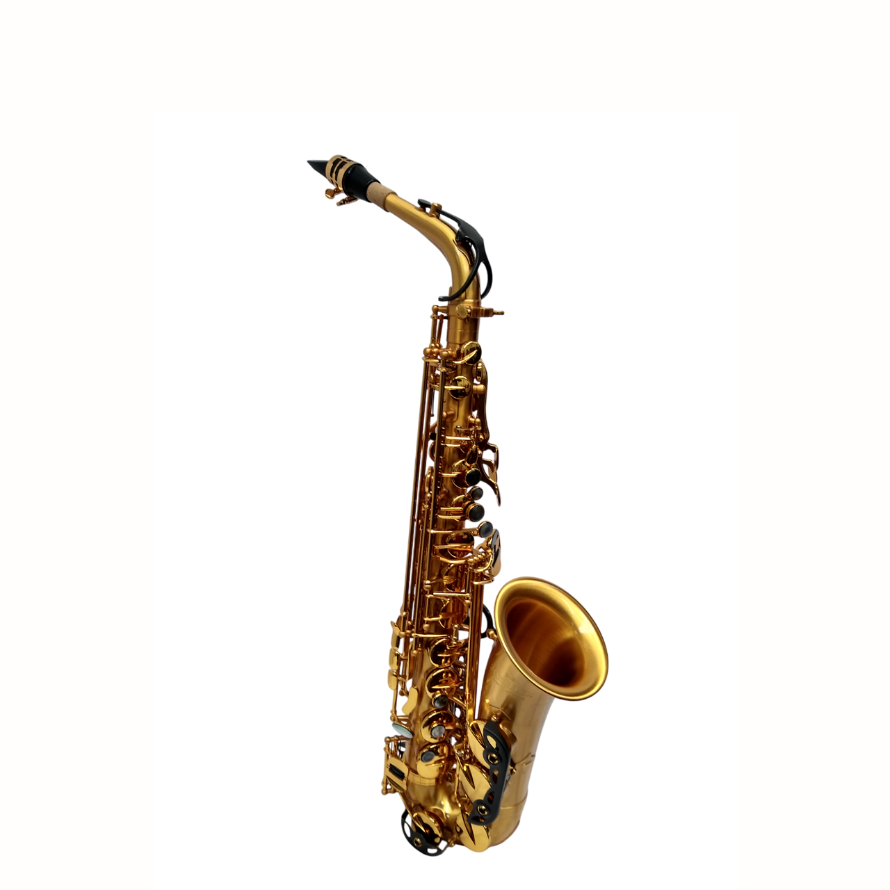 Alto Saxophones - Schiller Instruments - Band & Orchestral Instruments